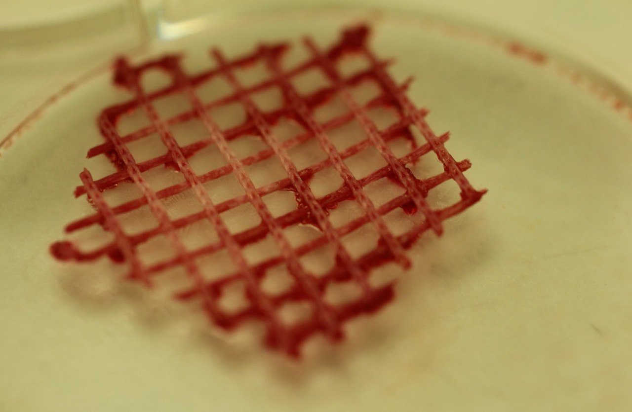 Pigs Bladder Football \ John O'Shea (2012) - Abandon Normal Devices