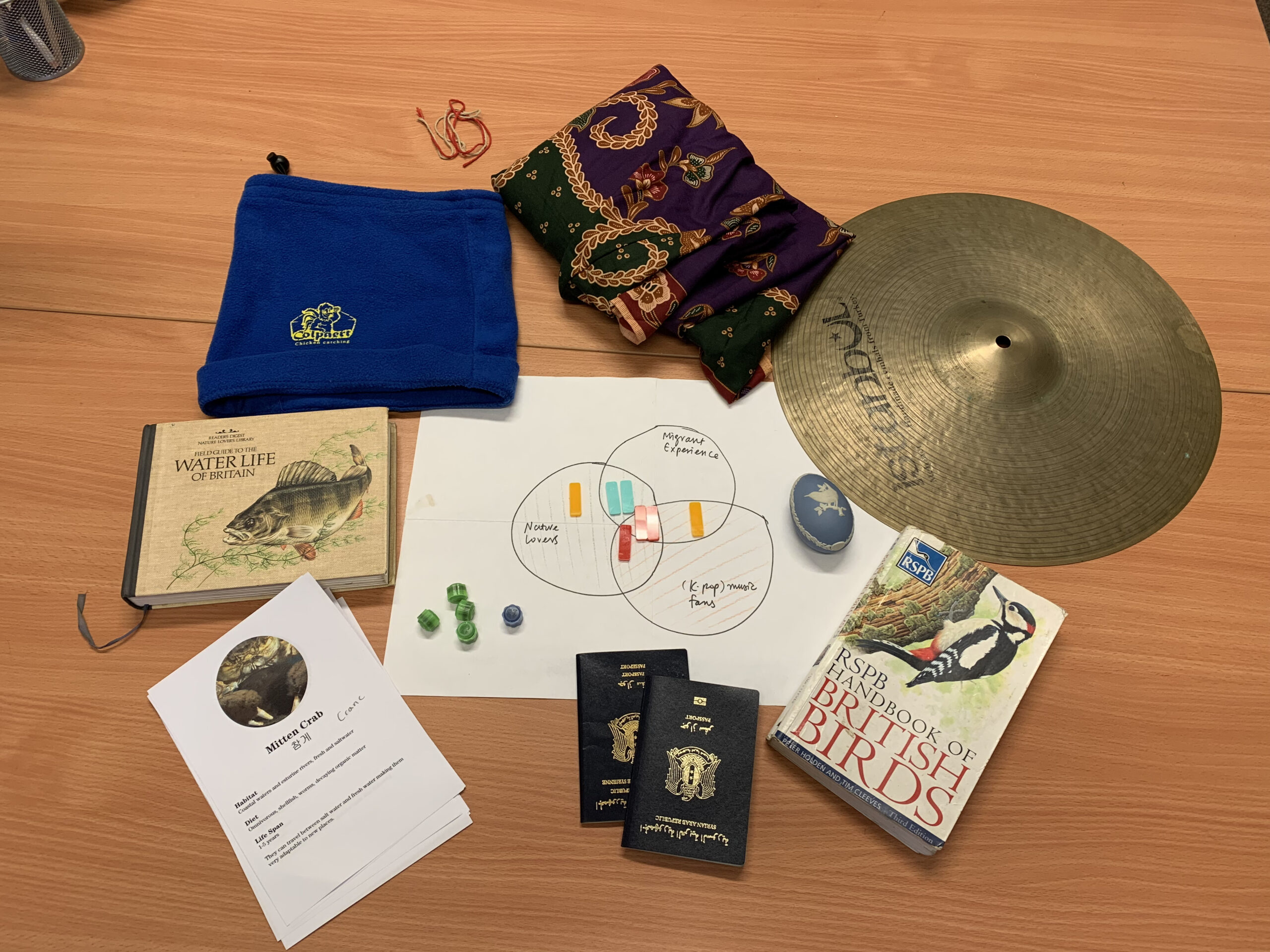 The power of K-pop: Hwa Young Jung and Wild Natures - Abandon Normal ...